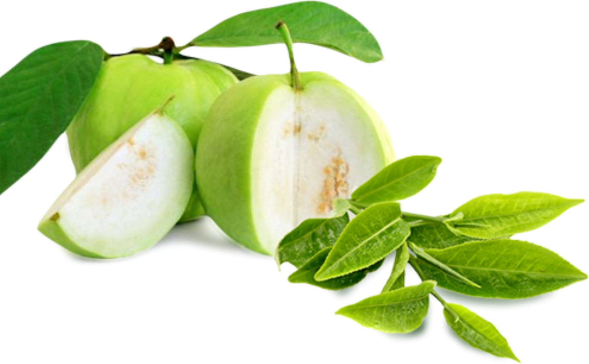 Indus Farms Superfoods Freeze Dried White Guava (Multi-Pack), Healthy